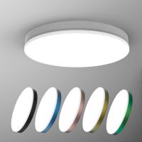 China IP54 LED Ceiling Light Surface Mount For Bedroom for sale