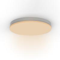 China IP54 LED Ceiling Light Surface Mount For Bedroom for sale
