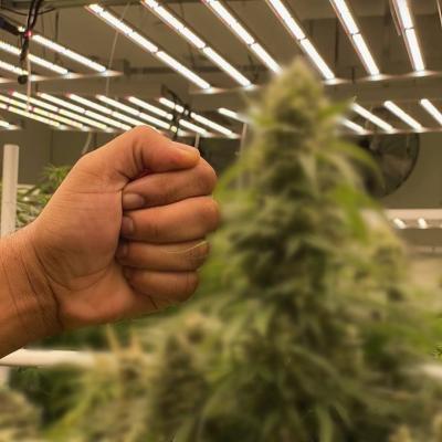 China LM5100CMYE/NOPB Te koop