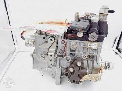 中国 729932-51360 YANMARエンジンの燃料ポンプ129906-01381 販売のため