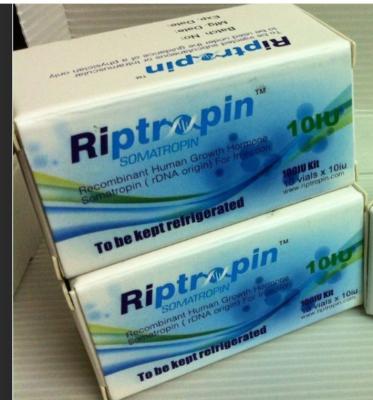 중국 접시 원료 100iu HG 10 접시 10 Iu 라벨 및 상자 판매용