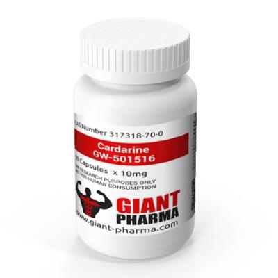 Cina Etichette per flaconi di pillole in PVC GW501516 con design e dimensioni personalizzati in vendita