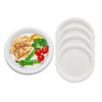 China Compostable Sugarcane Bagasse Plate 9 Inch Biodegradable Pulp Molded Microwaveable for sale