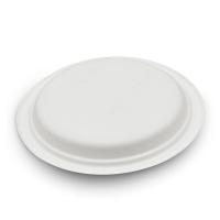 China Compostable Sugarcane Bagasse Plate 9 Inch Biodegradable Pulp Molded Microwaveable for sale