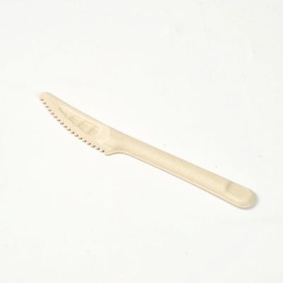 Cina 165 mm bianco compostabile bagassa canna da zucchero canna da zucchero posate cucchiaio forchetta coltello in vendita