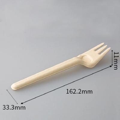 Cina Set di cucchiai posate usa e getta compostabili in bagassa di canna da zucchero ecologici in vendita