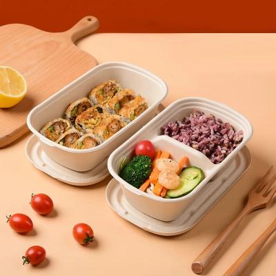 中国 Eco の友好的な堆肥化可能なサトウキビの容器 1000ml 2 つのコンパートメントのテイクアウトの容器 販売のため