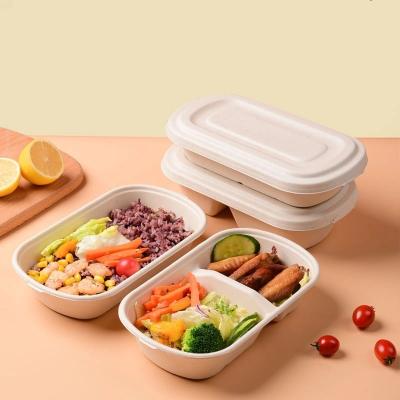 Cina Take Away Contenitori Per Alimenti Compostabili Di Canna Da Zucchero Pranzo 2 Contenitori Per Alimenti in vendita