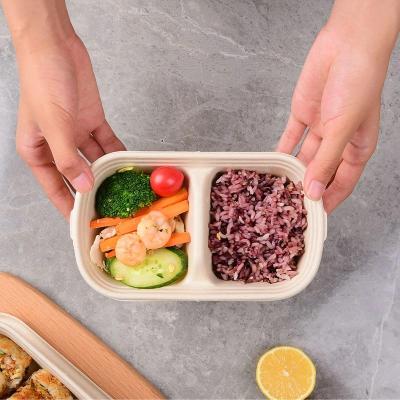 Cina Take Away Contenitori Per Alimenti Compostabili Di Canna Da Zucchero Pranzo 2 Contenitori Per Alimenti in vendita