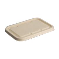 China Biodegradable Sugarcane Bagasse Lunch Box 450ml Microwavable Compostable 180x125x39mm for sale