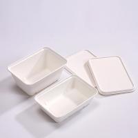 China Biodegradable Sugarcane Bagasse Lunch Box 450ml Microwavable Compostable 180x125x39mm for sale