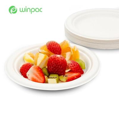 Cina Piatti di carta biodegradabili ecologici per la cena da 7 pollici Alimenti per la cena usa e getta in vendita