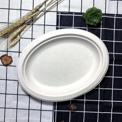 Cina Confezionamento di polpa ovale con bagassa di canna da zucchero compostabile Piatti ovali per alimenti in vendita