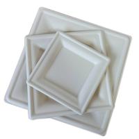 China White 6in Compostable Biodegradable Sugarcane Bagasse Square Plates 500pcs for sale