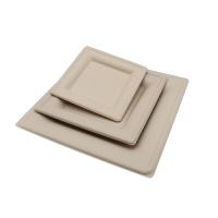 China White 6in Compostable Biodegradable Sugarcane Bagasse Square Plates 500pcs for sale