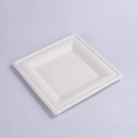 China 10 Inch Square Compostable Sugarcane Plate 260mm Biodegradable Bagasse Tableware for sale