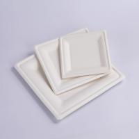 China 10 Inch Square Compostable Sugarcane Plate 260mm Biodegradable Bagasse Tableware for sale