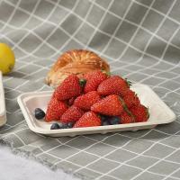 China Biodegradable Sugarcane Bagasse Tray 176ml for Meat Fruit Vegetable Eco Friendly Tableware for sale