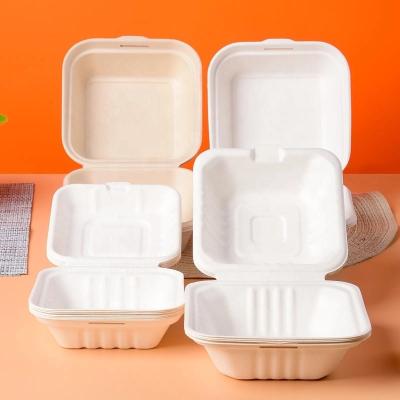 Cina Contenitori a conchiglia biodegradabili ecologici per hamburger con polpa di canna da zucchero Contenitori a conchiglia da 6 pollici in vendita