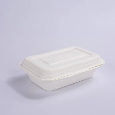 Cina Hotel Microwavable Sugarcane Bagasse Clamshell usa e getta Take Away Bagasse Lunch Box in vendita