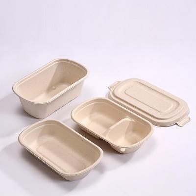 Cina Scatole per il pranzo usa e getta ecologiche da asporto compostabili da 850 ml di canna da zucchero in vendita