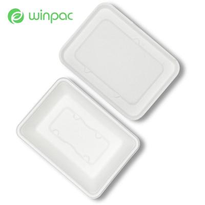 Cina Confezione compostabile da 650 ml di bagassa di canna da zucchero Contenitori per alimenti da asporto con coperchio in vendita