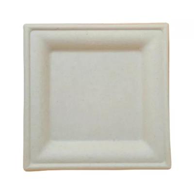 Cina Piatti per bagassa biodegradabili quadrati da 8 pollici compostabili Piatto modellato per polpa di cibo per cena in vendita