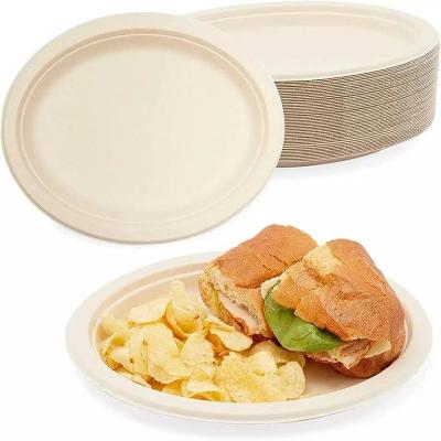 China 230 mm biologisch afbreekbare composteerbare suikerrietborden Bagasse witte ovale borden Te koop