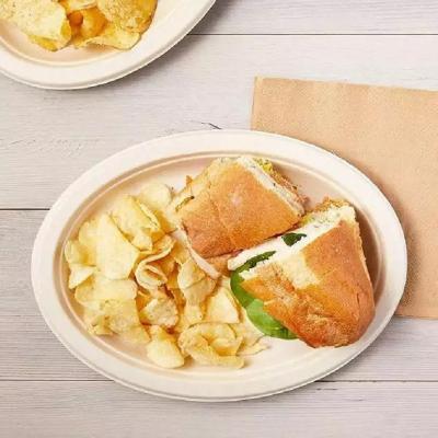 China 230 mm biologisch afbreekbare composteerbare suikerrietborden Bagasse witte ovale borden Te koop