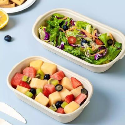 Cina Contenitore per canna da zucchero compostabile per la casa Pasto per microonde Contenitori per alimenti da asporto in vendita