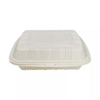 China Biodegradable 600ml Corn Starch Clamshell Food Container 195x145x50mm Eco-Friendly Takeout Box for sale