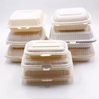 China Biodegradable 600ml Corn Starch Clamshell Food Container 195x145x50mm Eco-Friendly Takeout Box for sale
