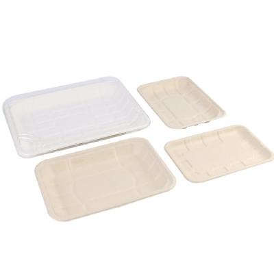 China Eco-vriendelijke biologisch afbreekbare suikerriet bagasse servies wegwerp composteerbaar voedsel lade Te koop