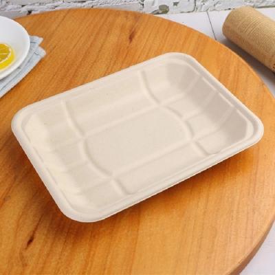 China Eco-vriendelijke biologisch afbreekbare suikerriet bagasse servies wegwerp composteerbaar voedsel lade Te koop