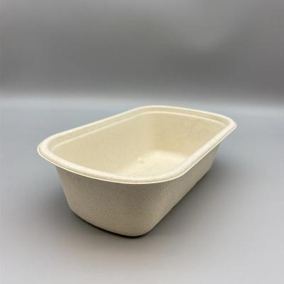 中国 ふたが付いている生分解性の持続可能なバガス サトウキビ クラムシェル ボックス 販売のため