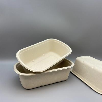 中国 ふたが付いている生分解性の持続可能なバガス サトウキビ クラムシェル ボックス 販売のため
