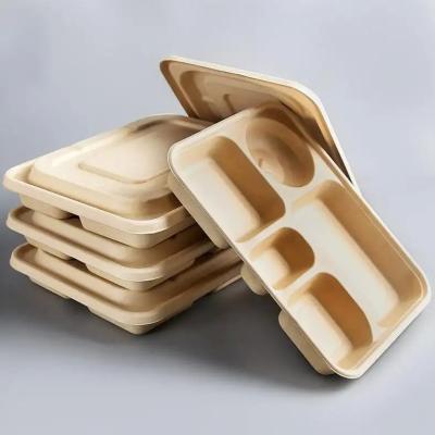 Cina Eco Friendly Biodegradable Sugarcane Bagasse Pulp Paper Take Away Hot Food Container For Food in vendita