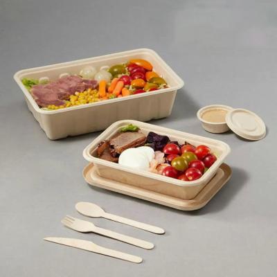 China Disposable Compostable Biodegradable Take Out Fast Food Packaging Takeaway Container Paper Boxes Te koop