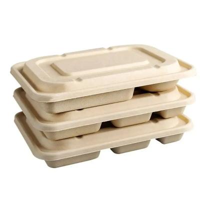 Cina Eco Friendly Biodegradable Sugarcane Bagasse Pulp Paper Take Away Hot Food Container For Food in vendita