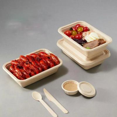 China Disposable Compostable Biodegradable Take Out Fast Food Packaging Takeaway Container Paper Boxes Te koop