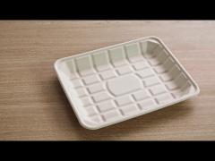 Eco-vriendelijke biologisch afbreekbare suikerriet bagasse servies wegwerp composteerbaar voedsel lade