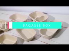 Chlorine Free Food Take Away Packaging Disposable Microwave Containers Lunch Box