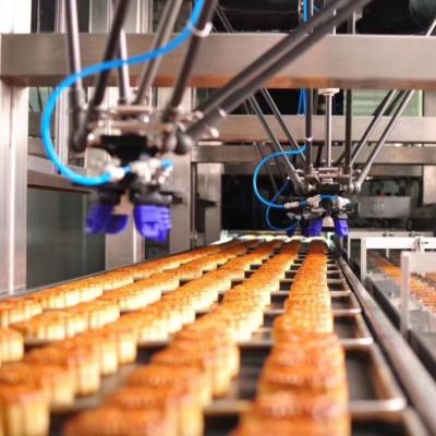 Chine Nourriture saisissante sans perte assortissant la pince molle d'EOAT SRT à vendre