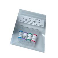 China Fluorescence PCR Diagnostic Test Kit for Laboratory Detection with High Sensitivity and Throughput Capability for sale