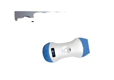 China Portable 3 In 1 Double Head Probe Machine Color Doppler Handheld Ultrasound Scanner for sale