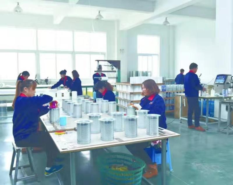 Fornitore cinese verificato - China BOSS excavator filter manufacturer