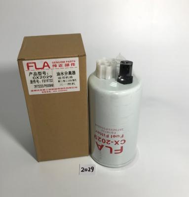 Cina Sostituzione del filtro del carburante P550848 per l'escavatore 40050400115 FS19732 del motore diesel in vendita