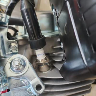 Cina Ricambi per motori per auto GX160 in vendita