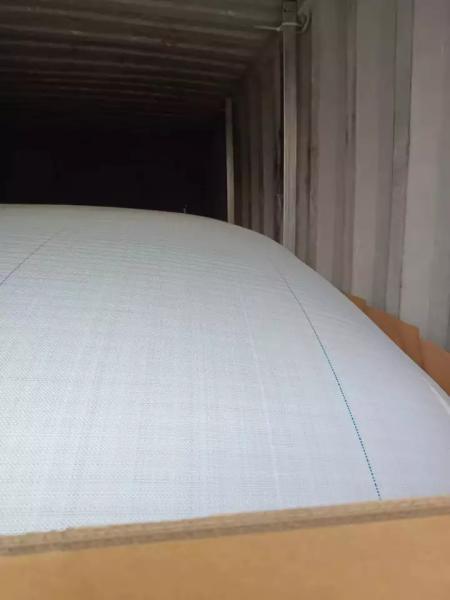 20ft 40ft Flexitank Container Food Grade Liquid Container Bag per olio di palma olio di arachidi olio di soia
