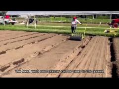Mehrreihenpräzisionslandwirtschaftliche Ausrüstung Gemüsepflanzmaschine Manuelle Bedienung
